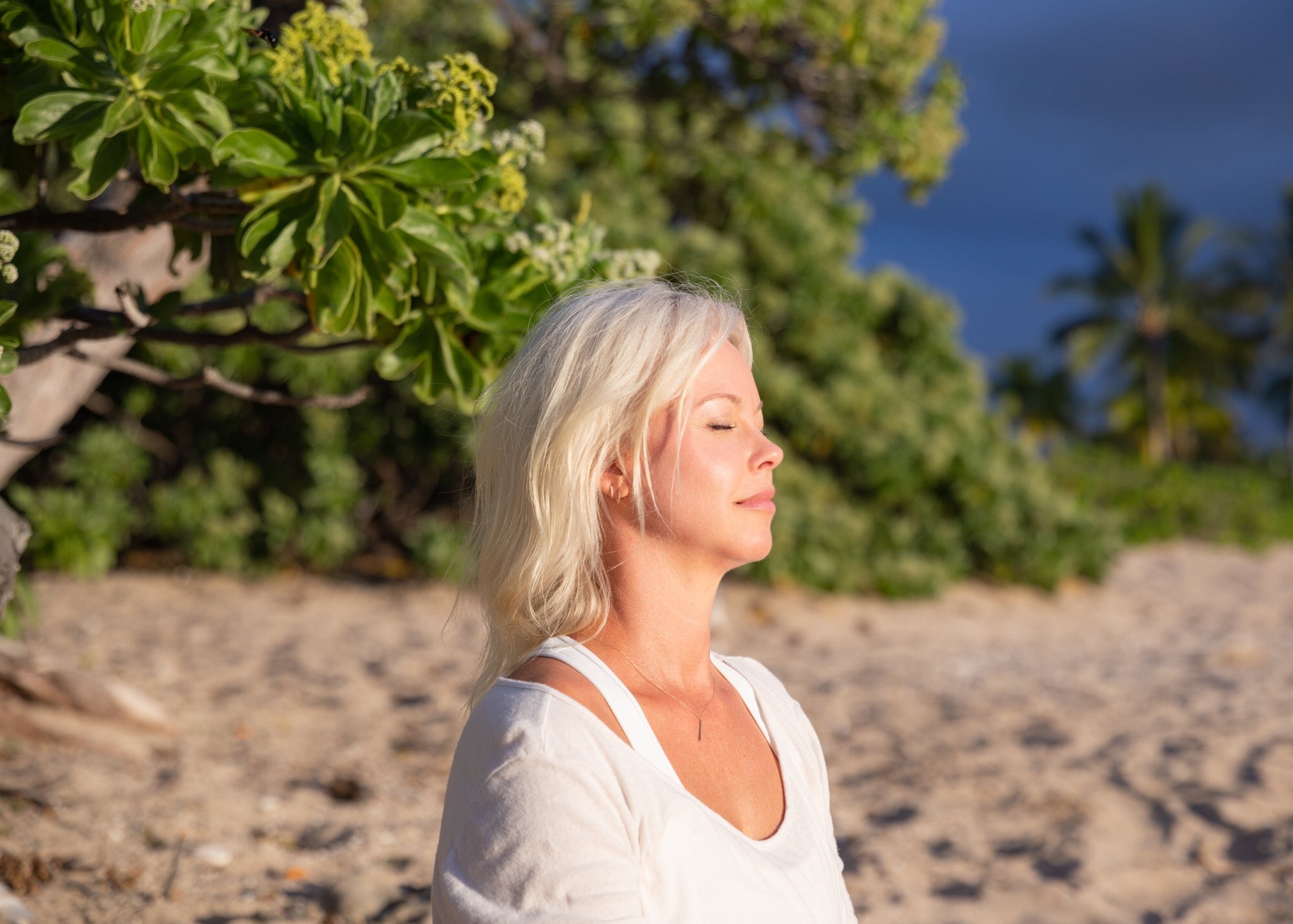 My Journey Into Wellness – Sage Solstice Wellness